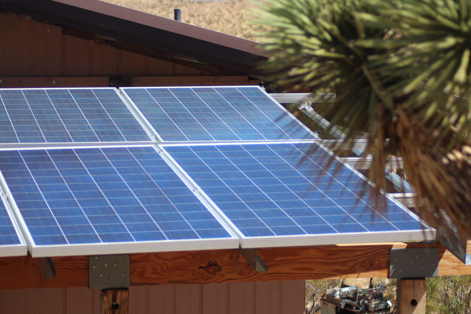 Local Power-Choosing A New Energy Pathway